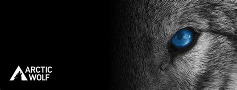 Arctic Wolf Raises 150m For Its Security Operations Platform That Blends Software With Human