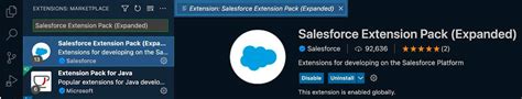 Salesforce Development Essentials Guide