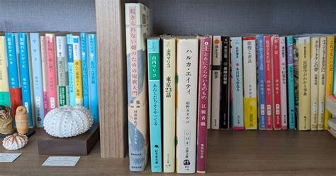 読書日記（2024年2月）｜中島 浮世