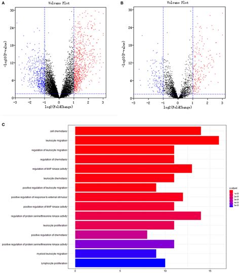 Differentially Expression And Functional Enrichment A Volcano Plot