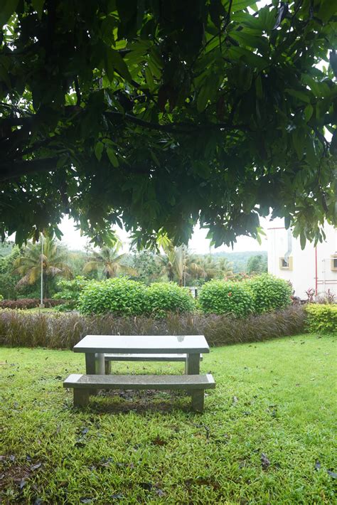 Events And Conferences Tapmi