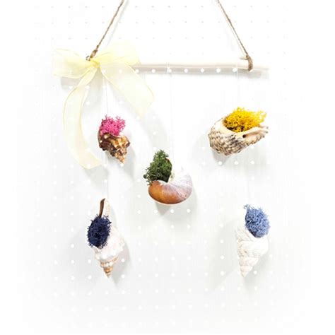 소라 껍데기 스칸디아모스 공기정화식물 행잉 만들기 Diy키트 101box