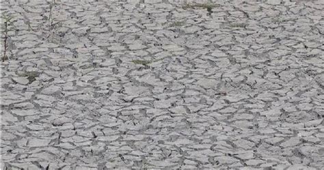 缺水危機持續高雄半屏湖乾旱成災土地嚴重龜裂 民眾嘆希望快下雨 生活 CTWANT