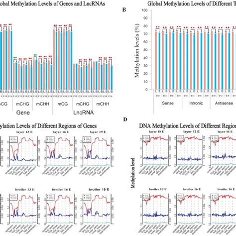 Comparative Measurement Of Methylation Level Of Genes And Lncrna A
