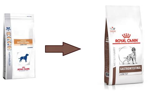 Обзор состава консерв и сухих кормов Royal Canin gastro intestinal для ...