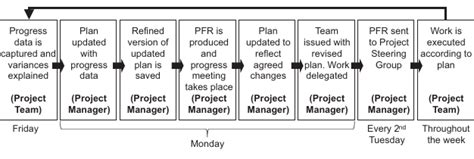 Monitoring Reporting And Control Mechanisms Used By The Project Manager