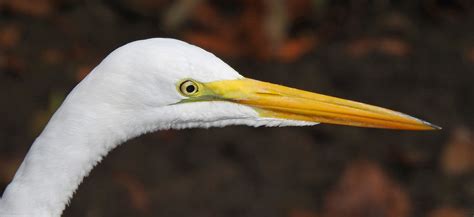 Dscn6928e Wayne Hardesty Flickr