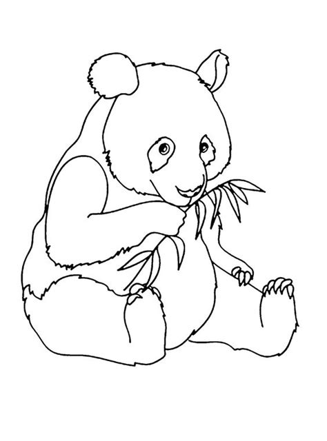 Tranh Cho B T M U G U Tr C Panda Bao G M H Nh Nh