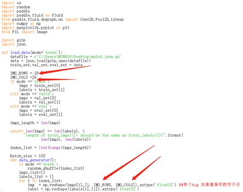数据生成器里面有个莫名的问题 · Issue 30764 · Paddlepaddlepaddle · Github