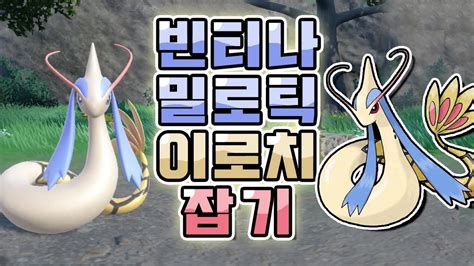 빈티나 밀로틱 이로치 잡기 위치 방법 주의사항 【포켓몬스터 스칼렛 바이올렛】 Youtube