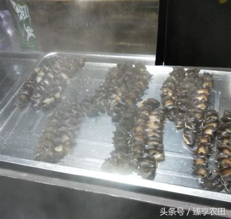 河南夜市上七大奇葩美食 最後一個不敢吃 每日頭條