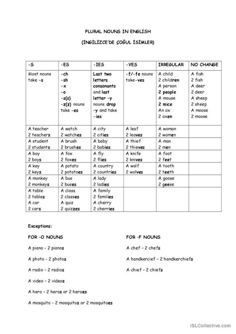 Plural Nouns general gramma Français FLE fiches pedagogiques pdf doc