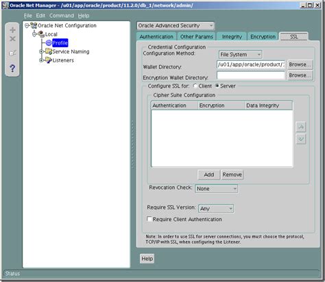 Configure Oracle Database To Use Ssl With Self Signed Certificate Dba