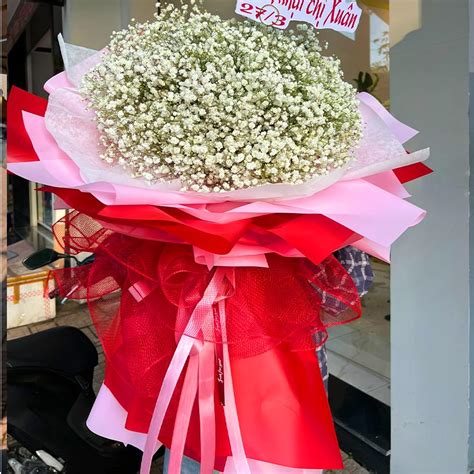 B Hoa Baby B Hoa Bi M S Hoatuoimay Vn