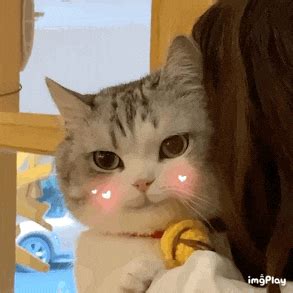 切换到淘宝最新 npm 镜像源的全面指南支持 WindowsmacOS 和多种 Linux 发行版
