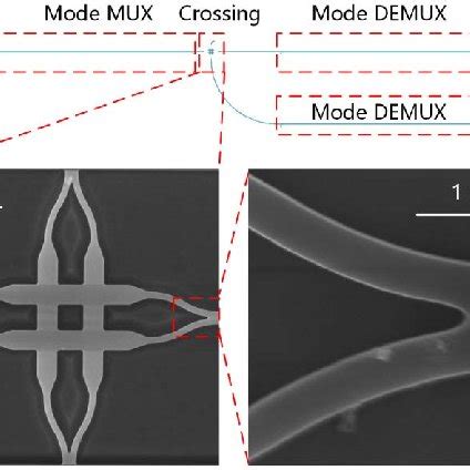 A Layout Of The Fabricated Device Consisting Of The Mode MUX The Download Scientific Diagram