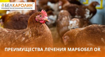ПРЕИМУЩЕСТВА ЛЕЧЕНИЯ ПРЕПАРАТОМ МАРБОБЕЛ OR - ООО "Белкаролин"
