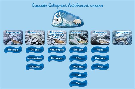 Бассейн ледовитого океана 70 фото