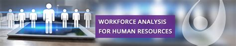 Workforce Analysis For Human Resources Hr Connect Forum