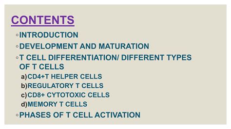 T Cell Lymphocyte Its Function Production And Types Pptx Pptx