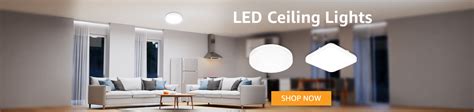 Lepro® Lighting Ever Indooroutdoor Led Bulbs Led Lights Light