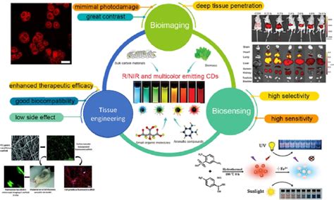4 Overview Of The Synthesis Optical Properties And Biomedical Download Scientific Diagram