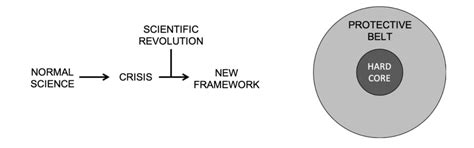 The Vast Majority The Journey Towards The Neuron Bench Press