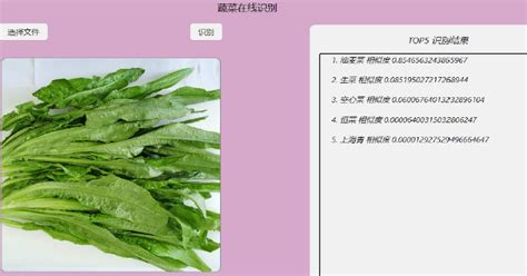 深度学习在蔬菜图像识别中的应用【matlab代码】matlab Residualblock Csdn博客