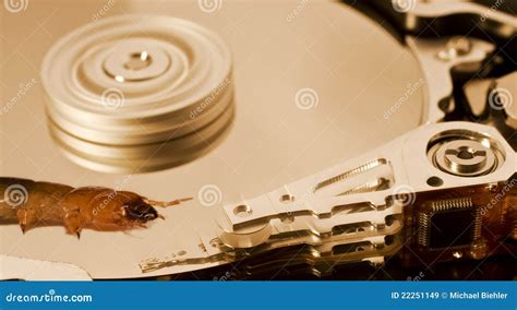 Worm On Hard Disk Stock Image Image Of Worm Backup 22251149