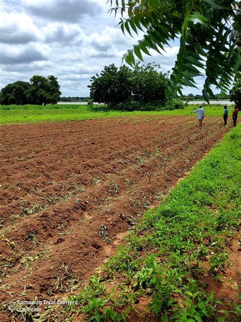 20220908 161627 Csir Pgrri Flickr