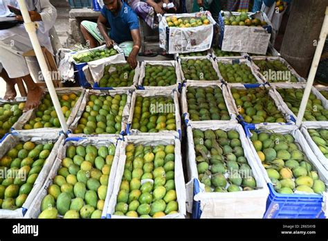 Les marchands de fruits ont présenté des mangues en vente sur le marché de gros de la mangue à
