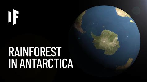 Antarctica As A Rainforest Recreating Earths Ecosystems