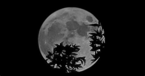 Supermoon Album On Imgur