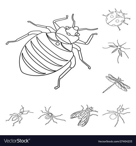 Isolated Object Fauna And Entomology Sign Set Vector Image
