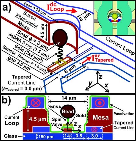 Single Molecule Actuation And Detection On A Lab On A Chip Magnetoresistive Platform Journal