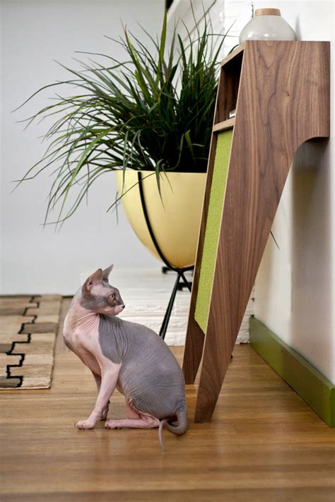 Modernist Cat — Shoebox Dwelling Finding Comfort Style And Dignity