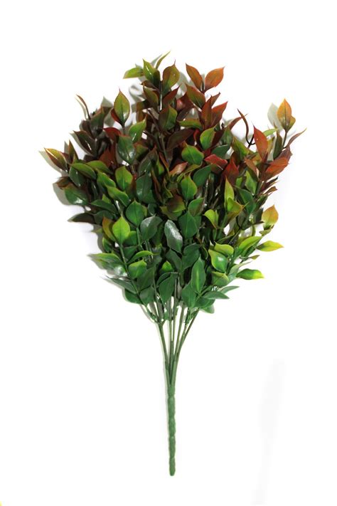 Виды зелени для букетов 87 фото