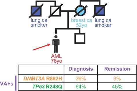 Persistence Of Deleterious Variants In Genes Known To Confer Germline