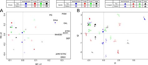 Results From Pls Da Analysis Are Plotted In Multivariate Molecular