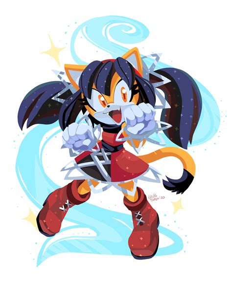 Honey The Cat Sonic The Fighters Image By Gabs Sam 4356911