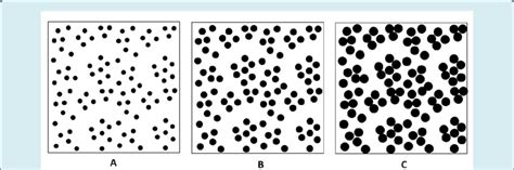 Models Of Granule Cell Layer Cytoarchitecture Of Cerebellar Cortex