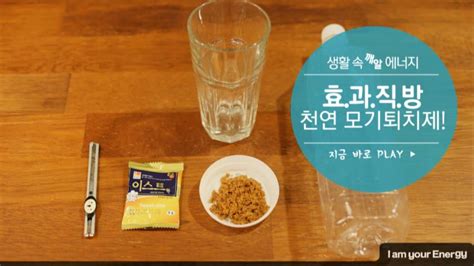 생활 속 작지만 알찬 에너지 천연 모기퇴치제 만들기gs칼텍스 Youtube