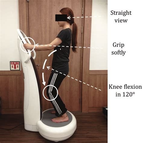 Exercise Posture During Whole Body Vibration Exercise Using Vibrator In Download Scientific
