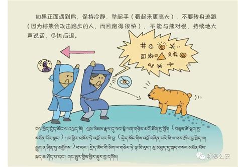 熊出没怎么办？ 你得看看防熊手册！澎湃号·政务澎湃新闻 The Paper