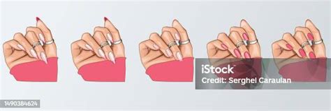 아름다운 매니큐어와 반지를 가진 여성의 손 매니큐어 컬렉션 뷰티 살롱 디자인 컨셉 손톱에 대한 스톡 벡터 아트 및 기타 이미지 손톱 네일 브러쉬 네일 살롱 Istock