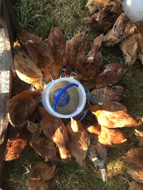 Kyle Mcbride — Not Our Farm