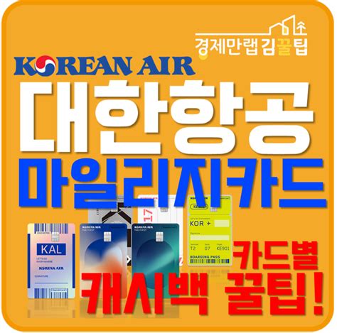 항공 마일리지 카드 대한항공 마일리지 상테크되고 캐시백까지 받는 방법 네이버 블로그