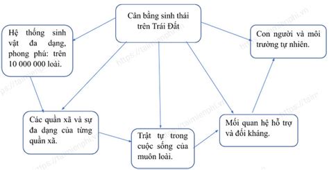 Soạn bài Tóm tắt sử dụng sơ đồ nội dung cho một đoạn văn đơn giản ngắn