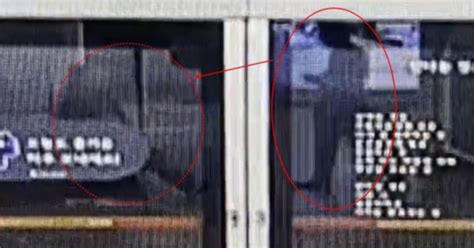 지하철역 취객 잠든 사이 폰 슬쩍…스크린도어에 범행 장면