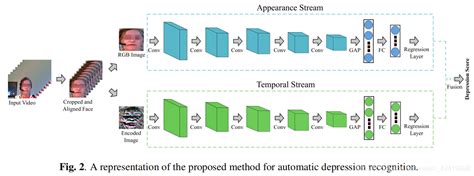 Resnet50网络的应用—抑郁症诊断softmax 怎么判断是否抑郁 Csdn博客